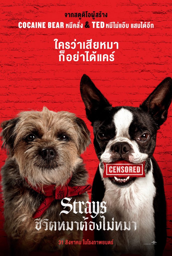 ดูหนัง Strays (2023) ชีวิตหมาต้องไม่หมา HD ดูฟรี - ดูหนังออนไลน์ฟรี ...